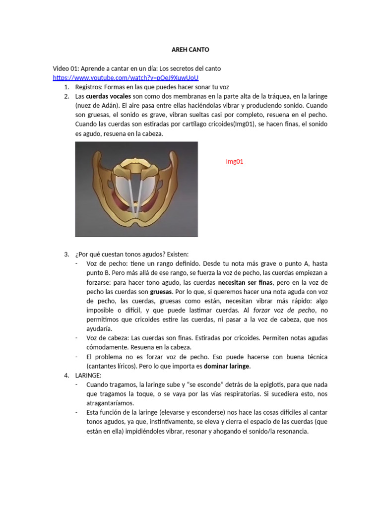 Canto Con Areh, Nivel Basico - Areh | PDF | Laringe | Canto