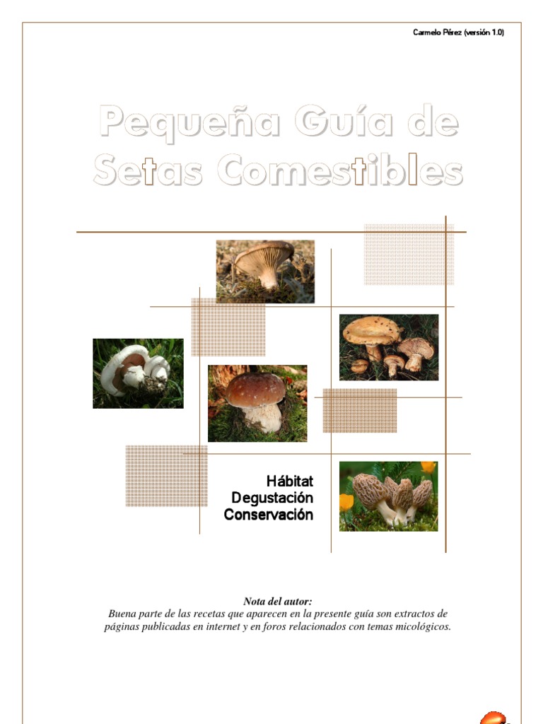 Guia de Setas | PDF | Caldo | Panes