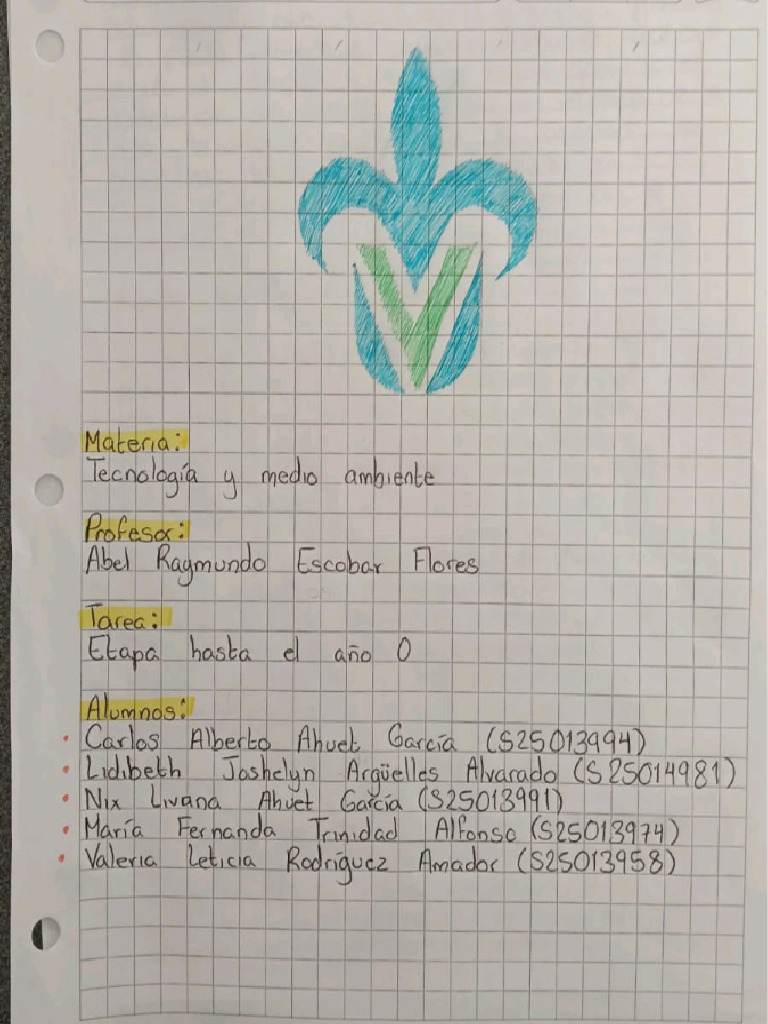 Ensayo IB Etapas Tec | PDF