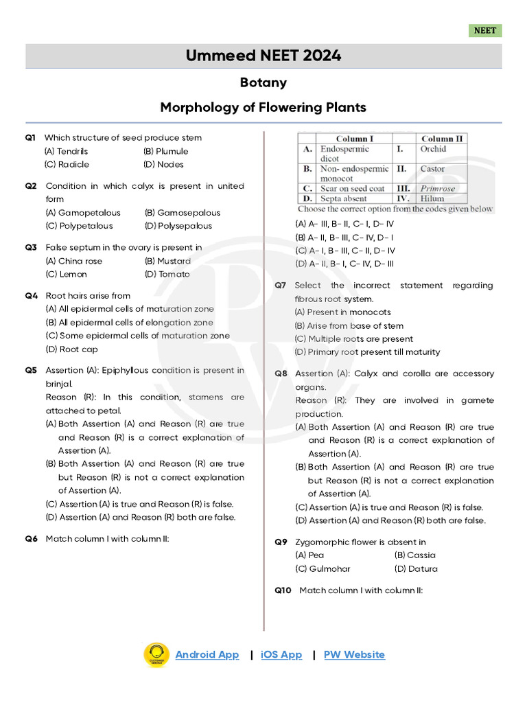 Morphology of Flowering Plants Practice Sheet | PDF | Leaf | Petal