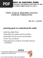 Axilla Anatomy: Boundaries and Contents | PDF | Limbs (Anatomy) | Human ...