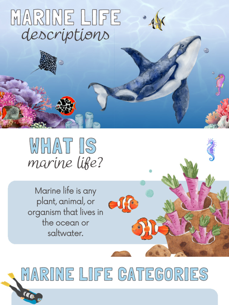 Marine Life Describing Presentation For Speech Therapy in A Colorful ...