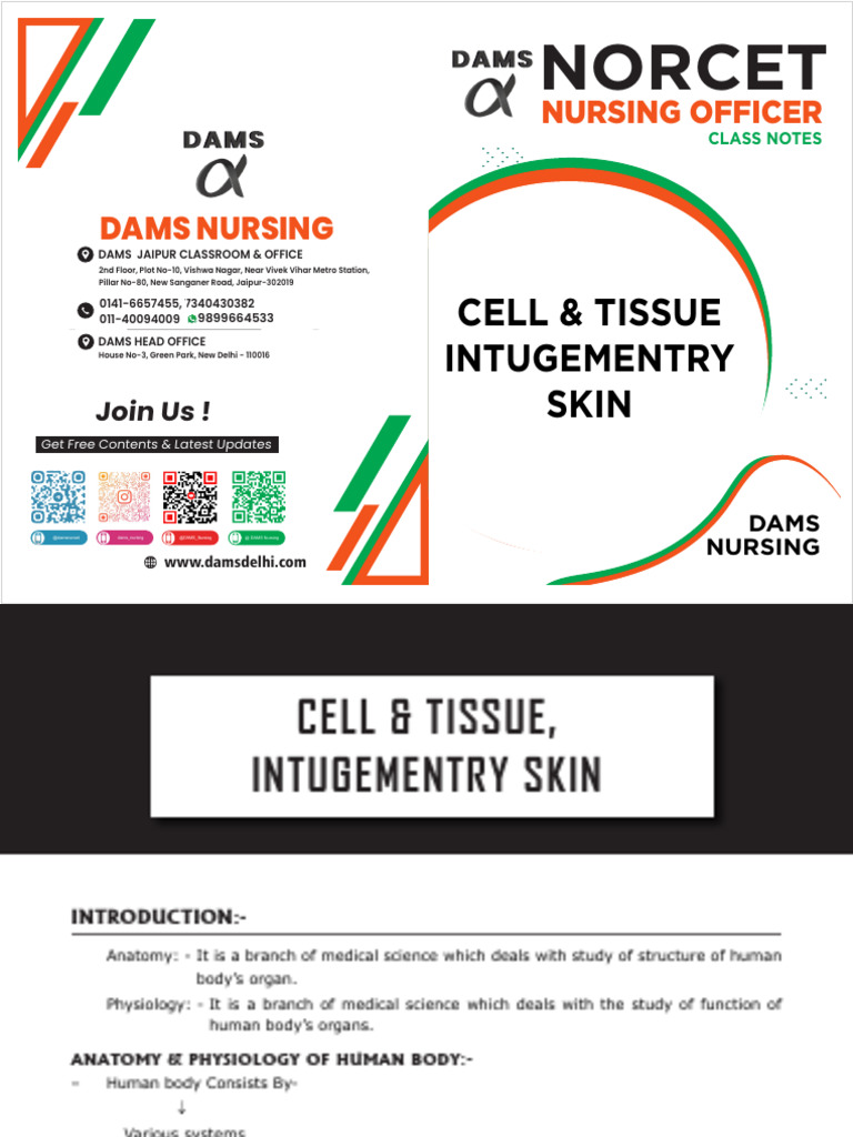 Cell & Tissue, Integumentary Skin Nursing | PDF