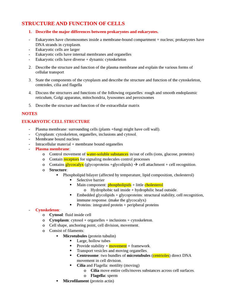 Structure and Function of Cells | PDF | Cell (Biology) | Endoplasmic ...