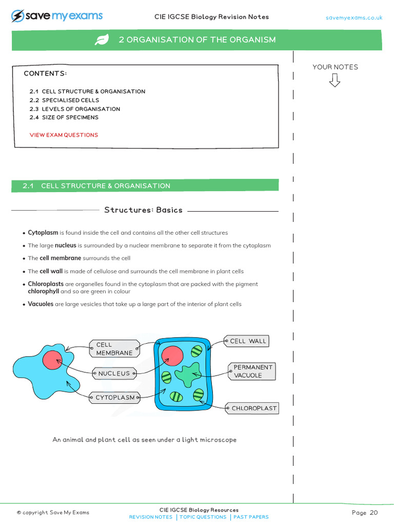 Cie Igcse Biology 2 RN | PDF | Cell (Biology) | Tissue (Biology)