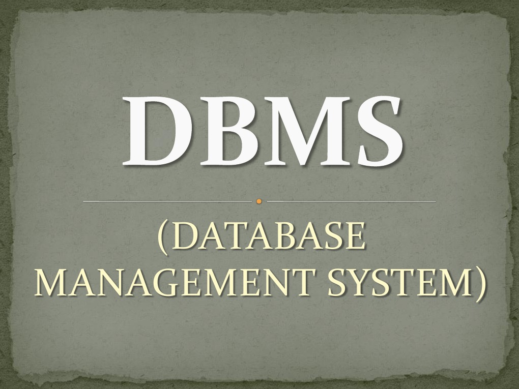 Database Management System | PDF | Information Management | Databases