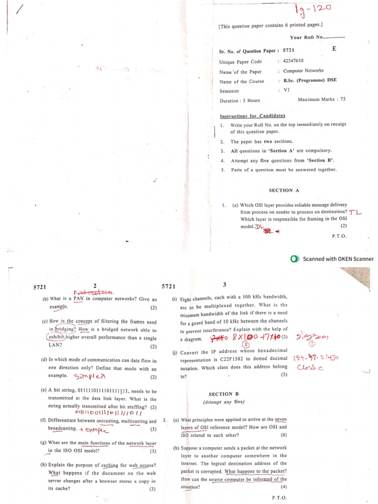 B.SC (Program) Dse CN Question Paper | PDF