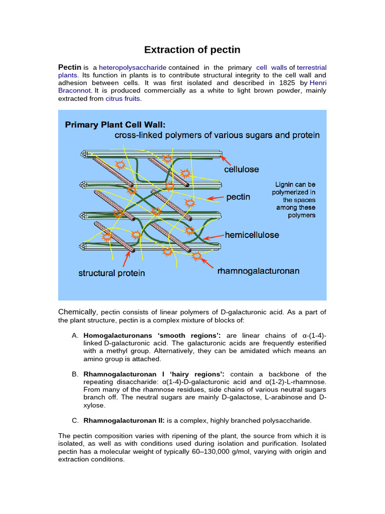 5-Extraction of Pectin | PDF | Chemistry | Chemical Substances