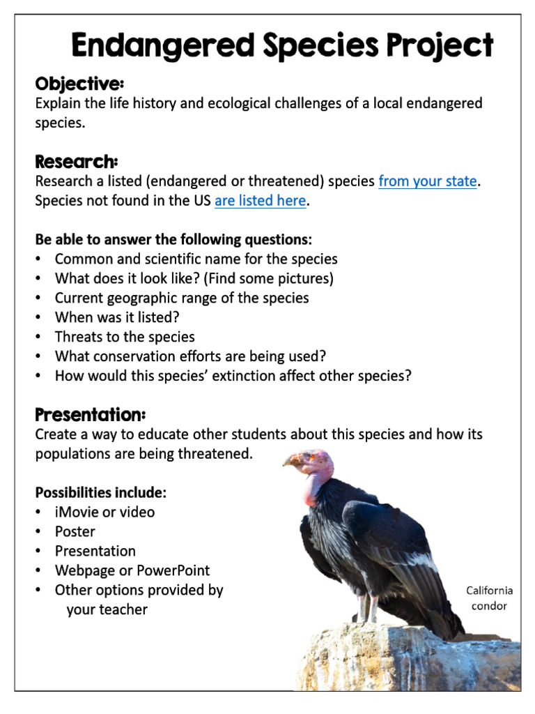 Endangered Species Project | PDF