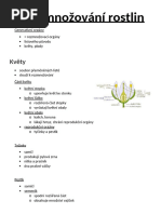 BBCH Stupnice | PDF