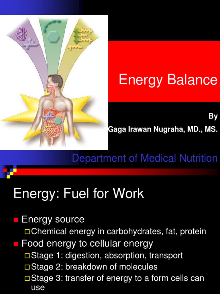 Energy Balance and Metabolism Explained | PDF | Metabolic Pathway ...