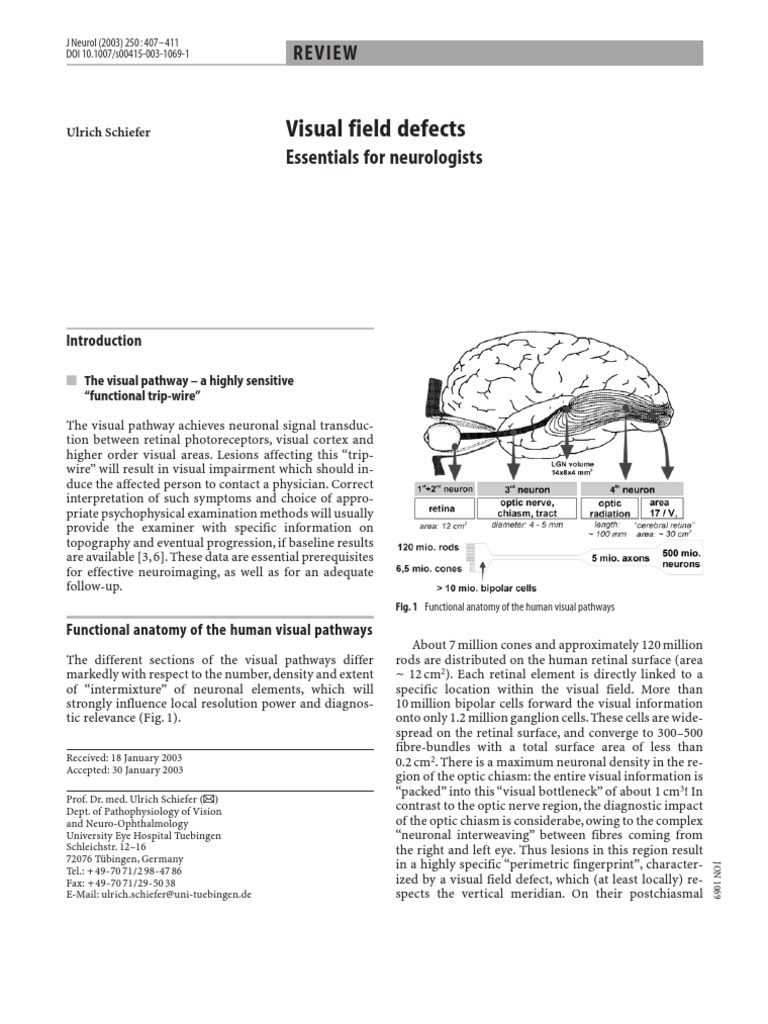 Visual Field Defects | PDF | Visual System | Retina