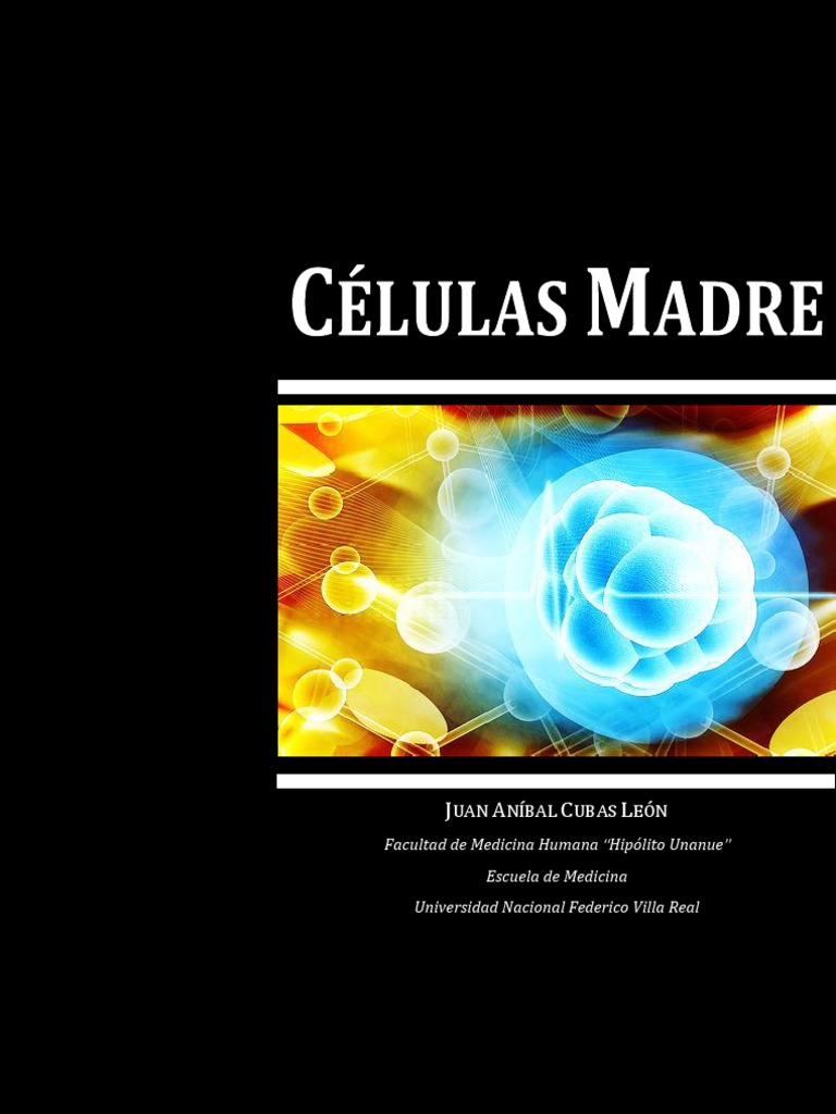 Células Madre | Célula madre | Potencia celular