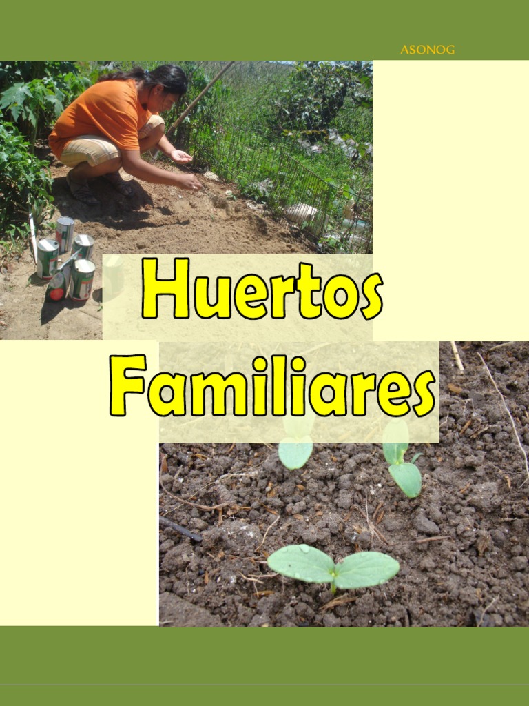 Guía para Crear un Huerto Familiar | PDF | Estiércol | Alimentos