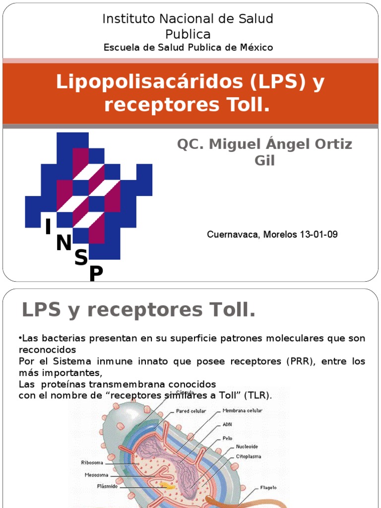 LPS y Receptores Toll (MAOG) | PDF | Receptor de peaje | Lipopolisacárido