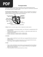 Transportation in Human Beings: Class 10 | PDF | Blood | Heart