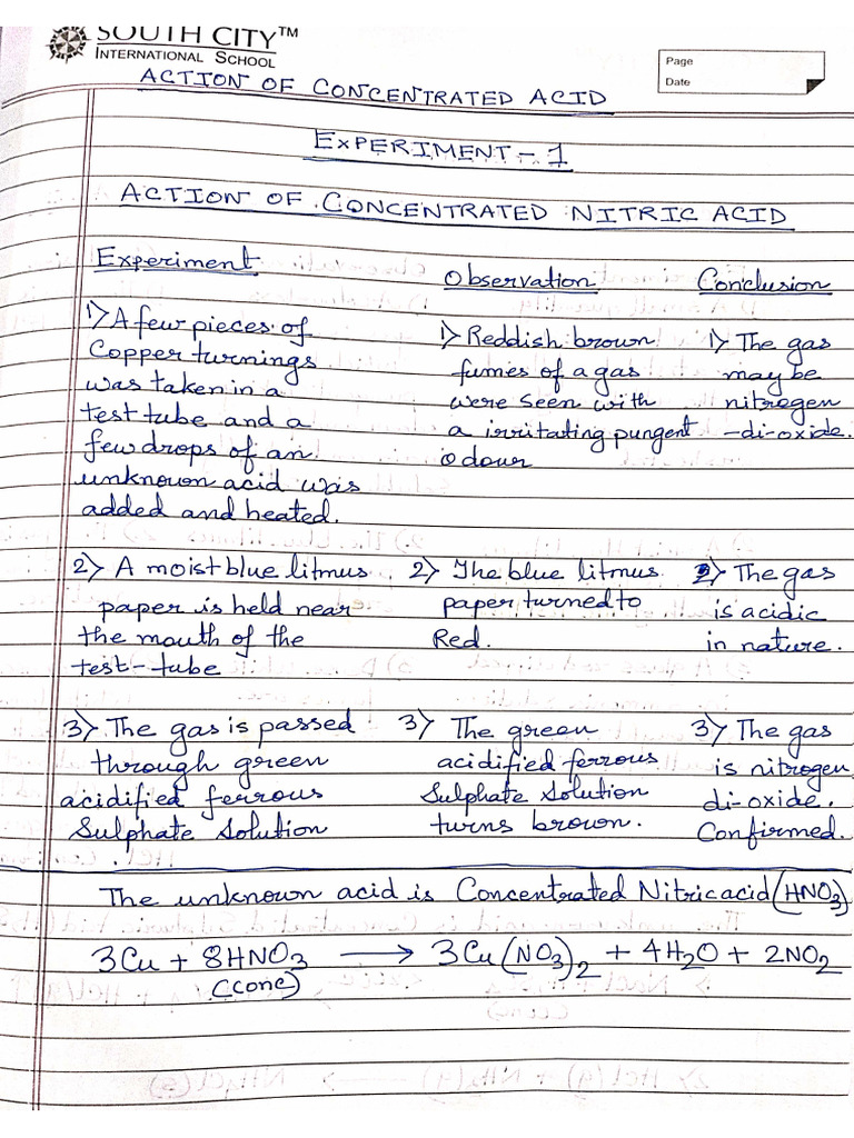 Chemistry Practical Class IX. Action of Conc. Acid 1764330121982 | PDF