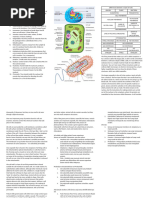 Cell Rap: Organelles Explained | PDF | Cell (Biology) | Cytoplasm