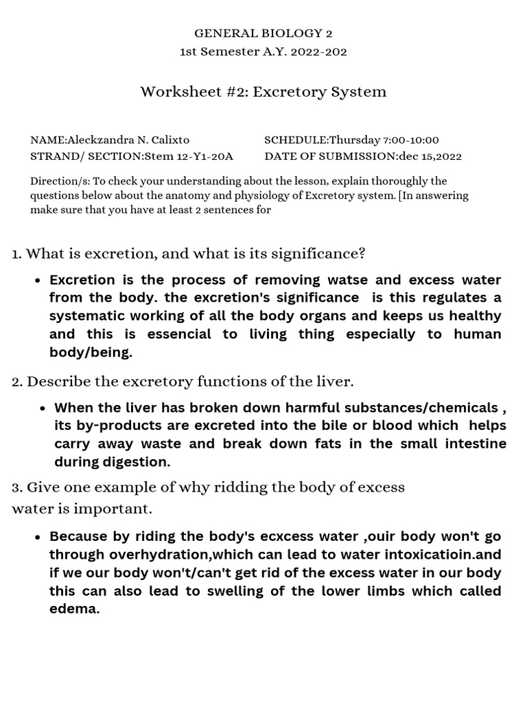 Worksheet# 2 Excretory System | PDF | Kidney | Organ (Anatomy)