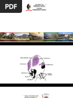 Extraoral Anatomical Landmarks Guide | PDF | Skull | Human Head And Neck