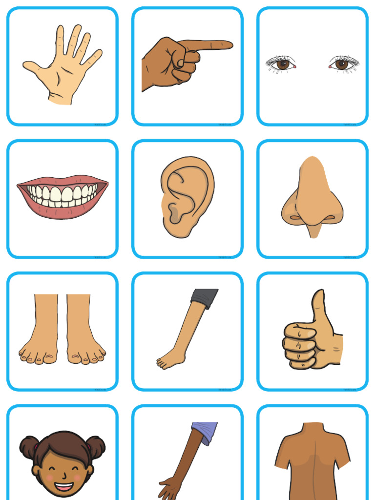 Ma T T 4084 Parts of The Body Word and Picture Matching Cards English ...