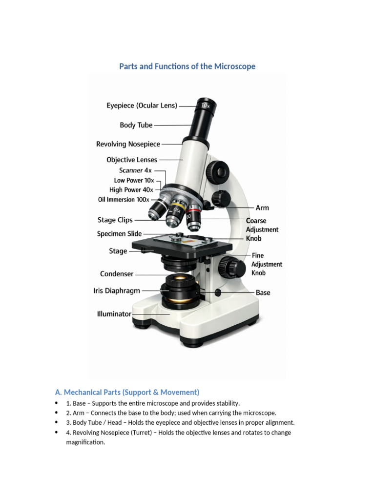 Parts and Functions of The Microscope | PDF