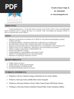 Personal Dossier Template | PDF