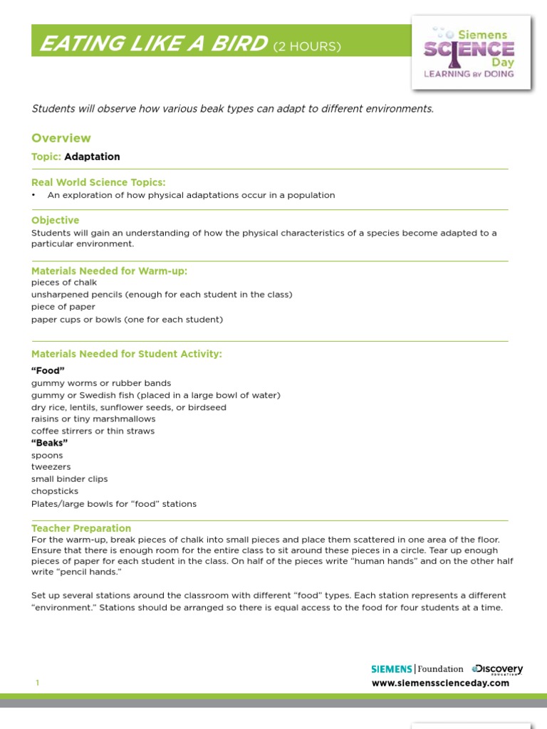 Bird Beak Adaptation Activity Guide | PDF