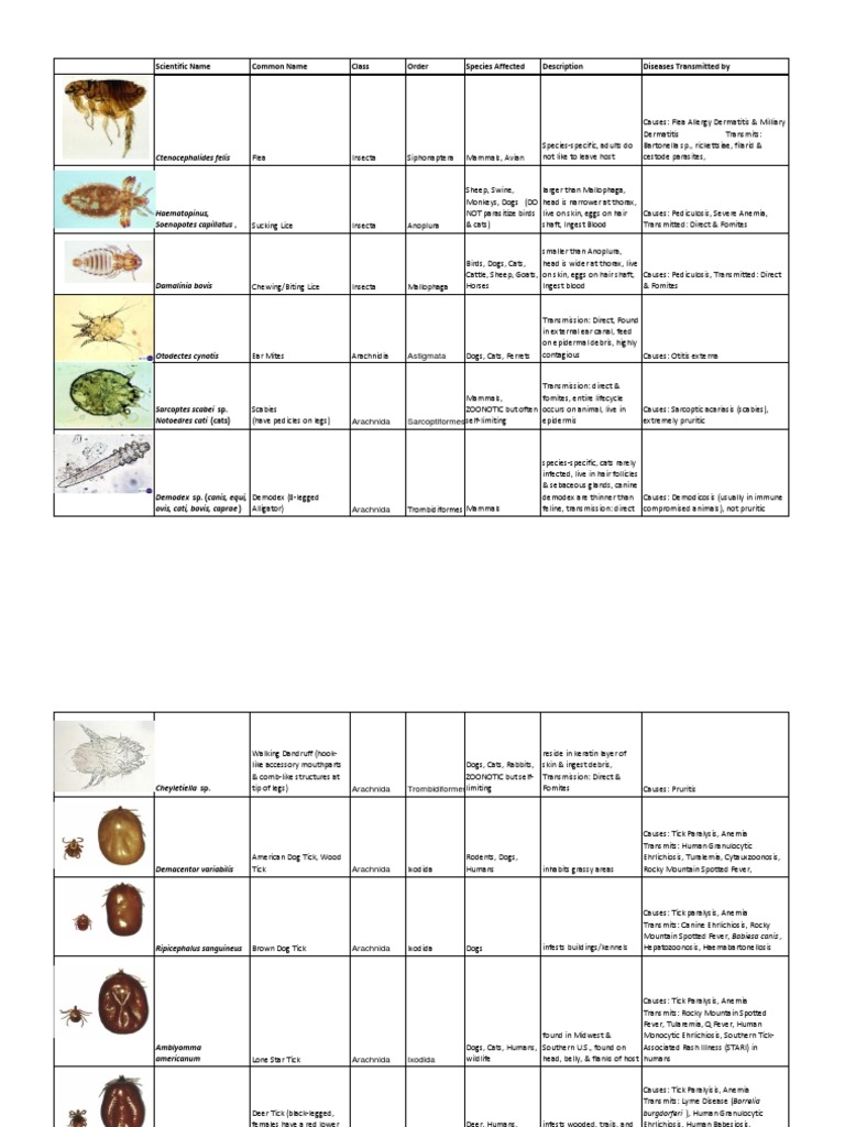Veterinary Ectoparasites | Animal Diseases | Animals And Humans