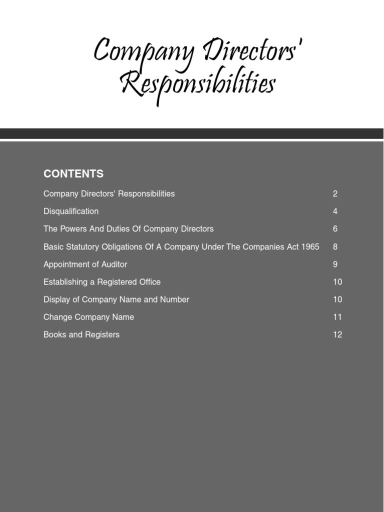 Company Directors Responsibilities | PDF