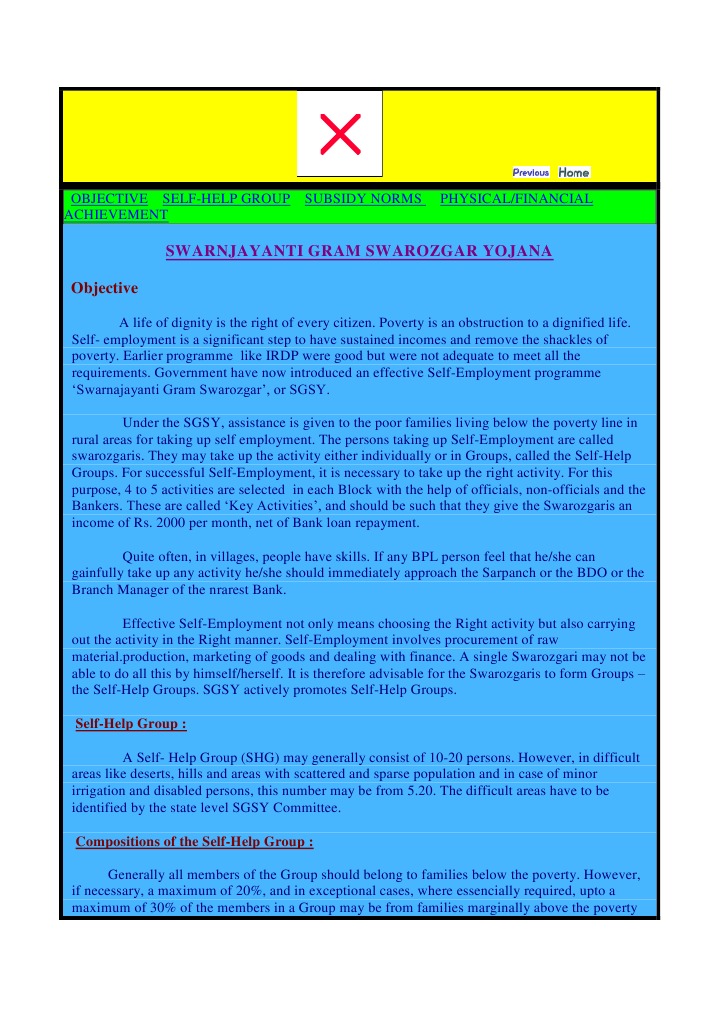 Objective Sgsy | PDF | Government | Economies