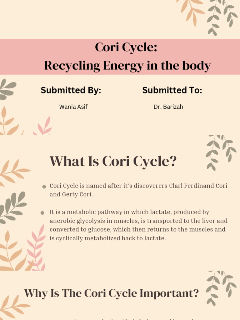 Cori Cycle | PDF | Lactic Acid | Glycolysis