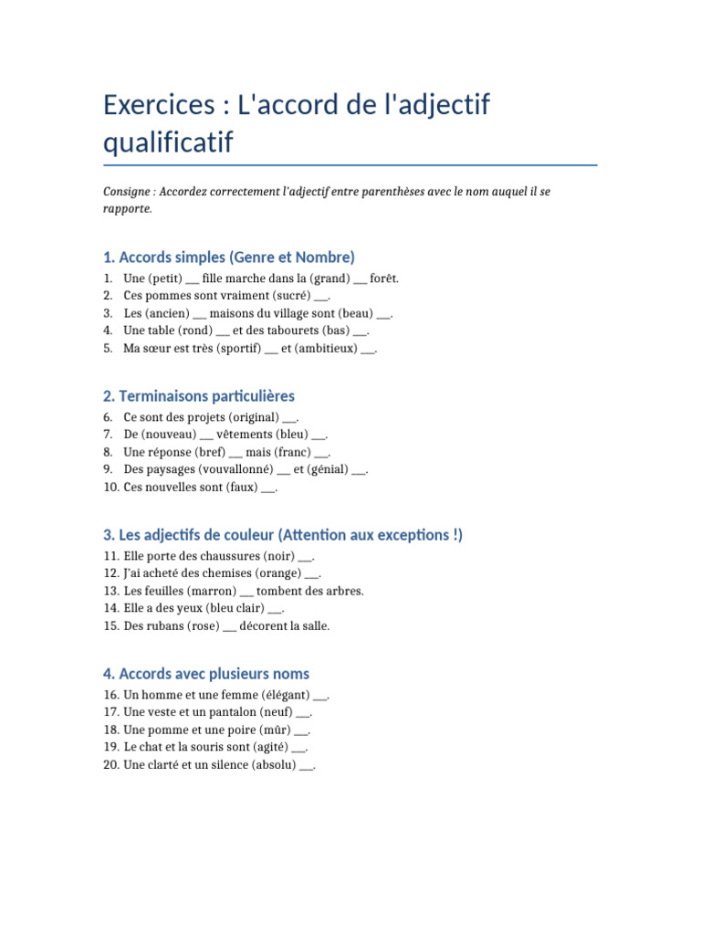 Exercices Accord Adjectifs | PDF
