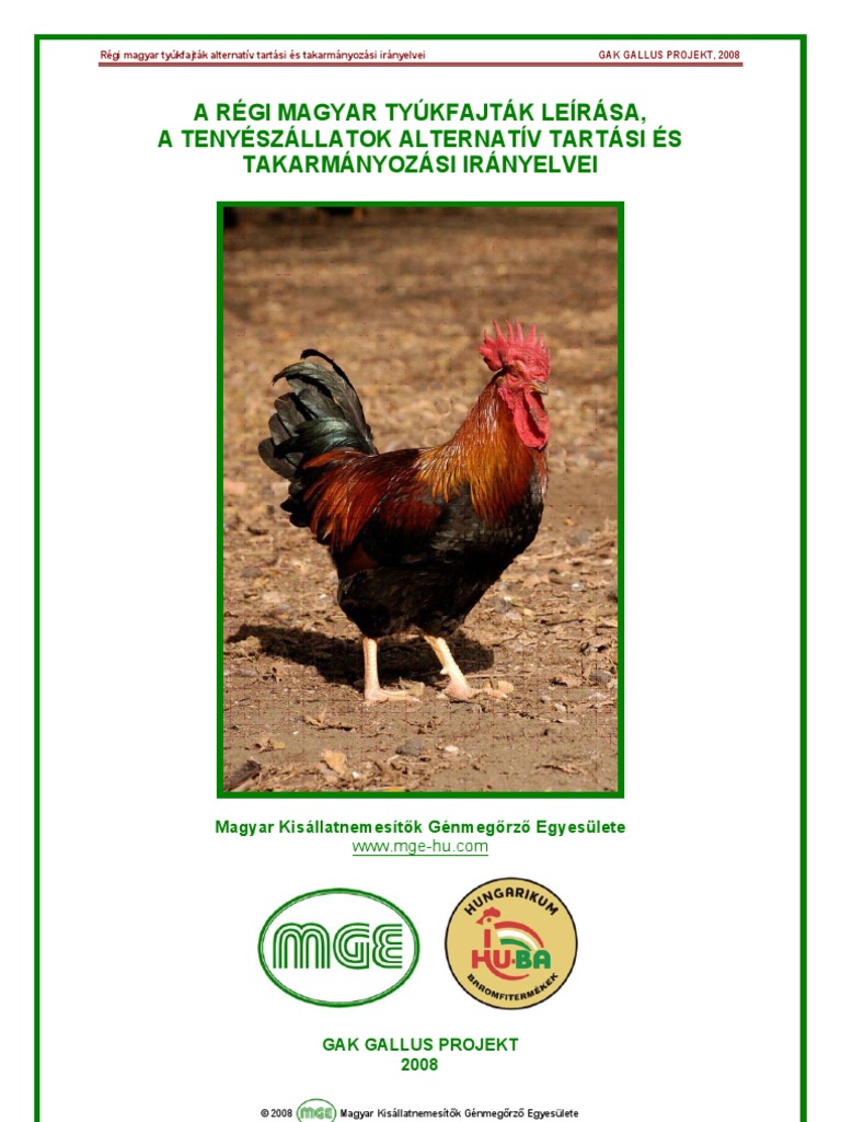 Regi Magyar Tyukfajtak | PDF