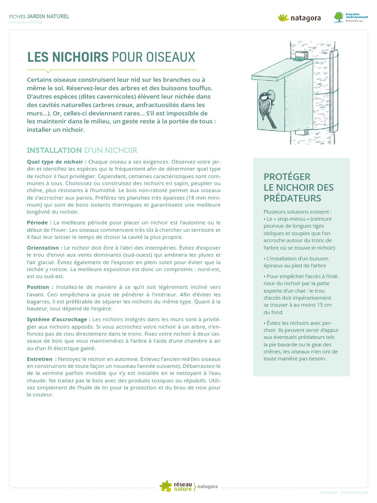 JNat Nichoir-Oiseau | PDF | Oiseaux | Oiseaux d'Eurasie