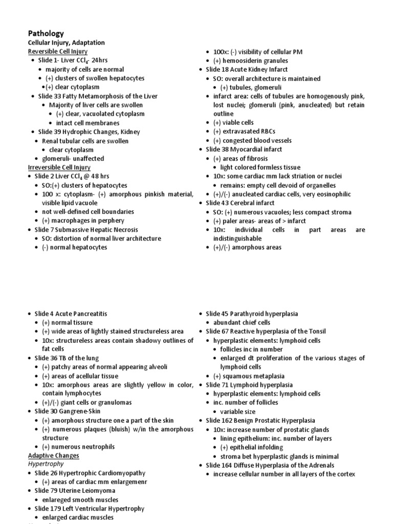 Pathology | PDF | Epithelium | Hepatocyte