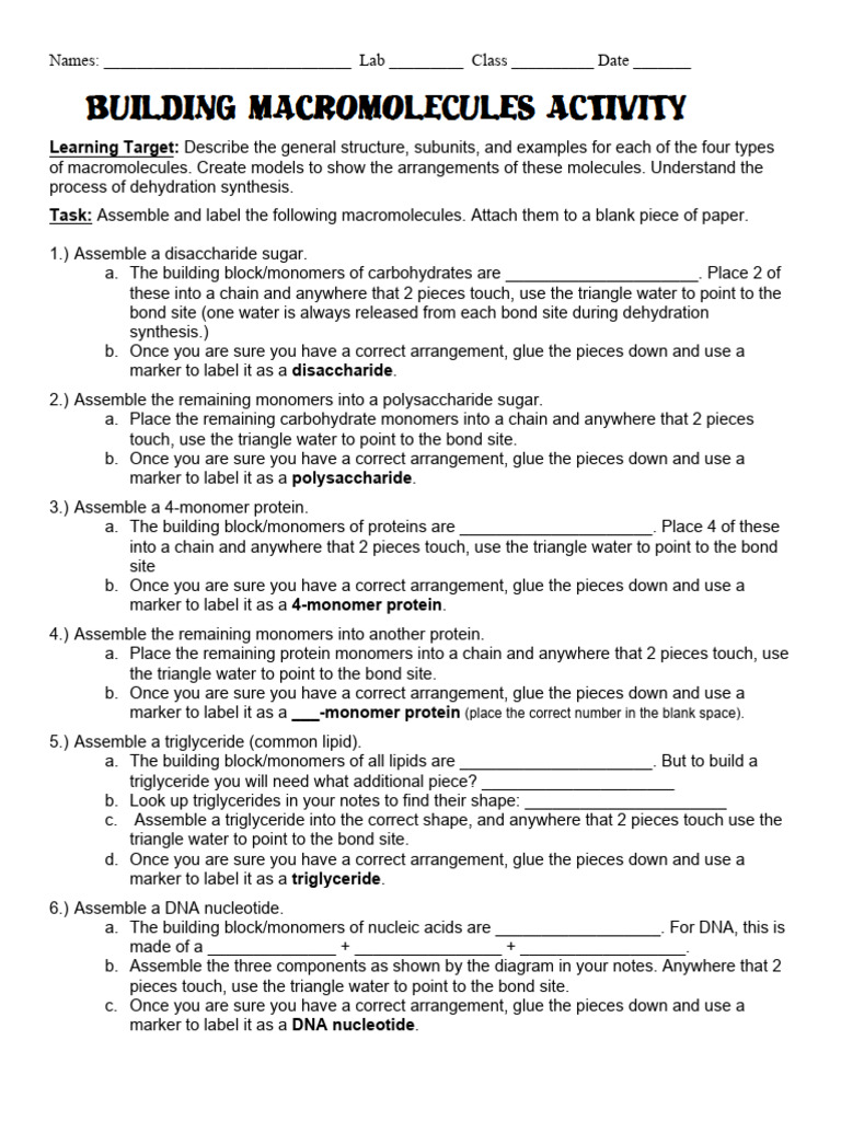 Building Macromolecules Activity | PDF | Macromolecules | Polymers