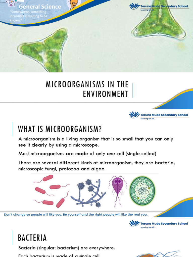 G7 Science Unit 7 Microorganisms in The Environment | PDF ...