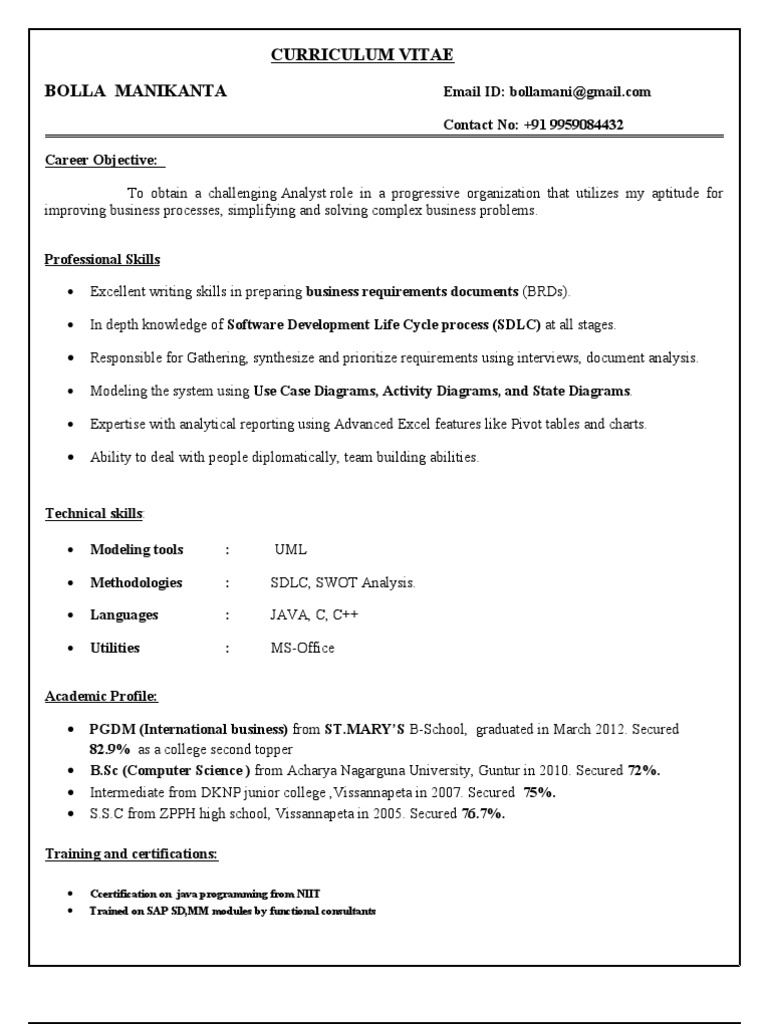 Mani Final | PDF | Software Development | Business