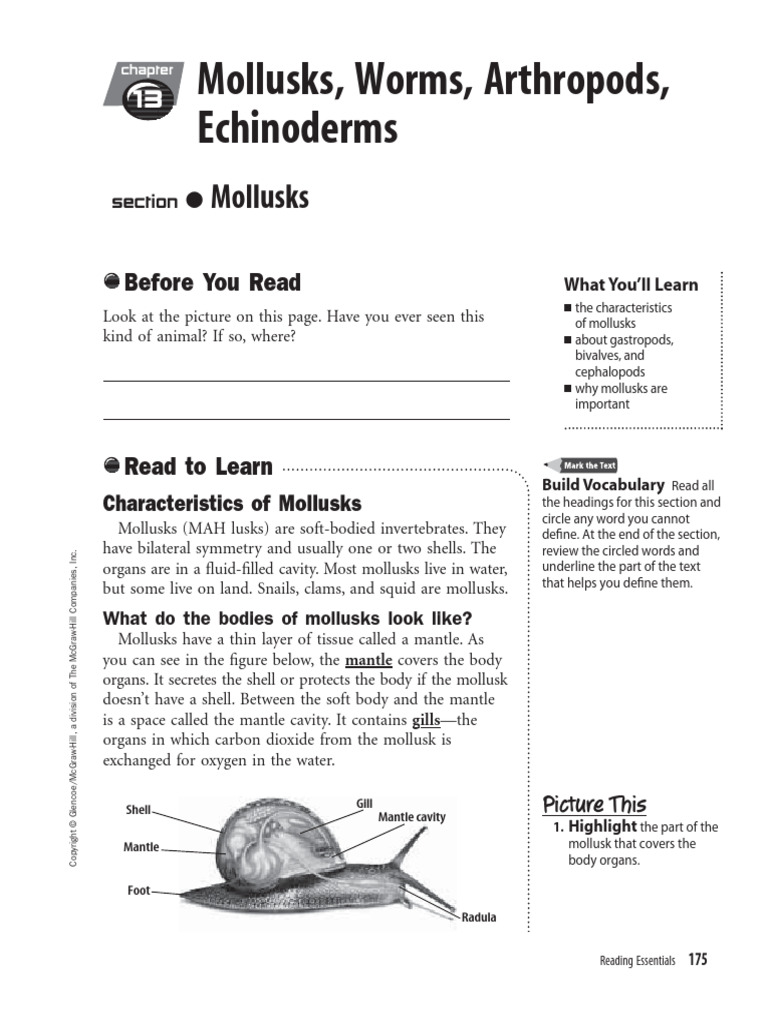 13 Mollusks, Worms, Arthropods, Echinoderms Part 1 | PDF