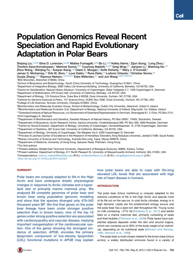 Population Genomics Reveal Recent Speciation and Rapid Evolutionary ...