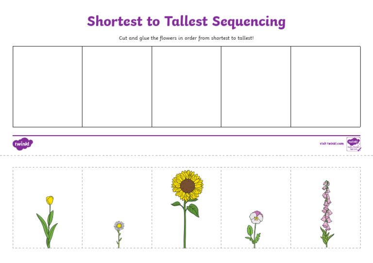 Shortest to Tallest Flower Sequencing Activity Sheet | PDF