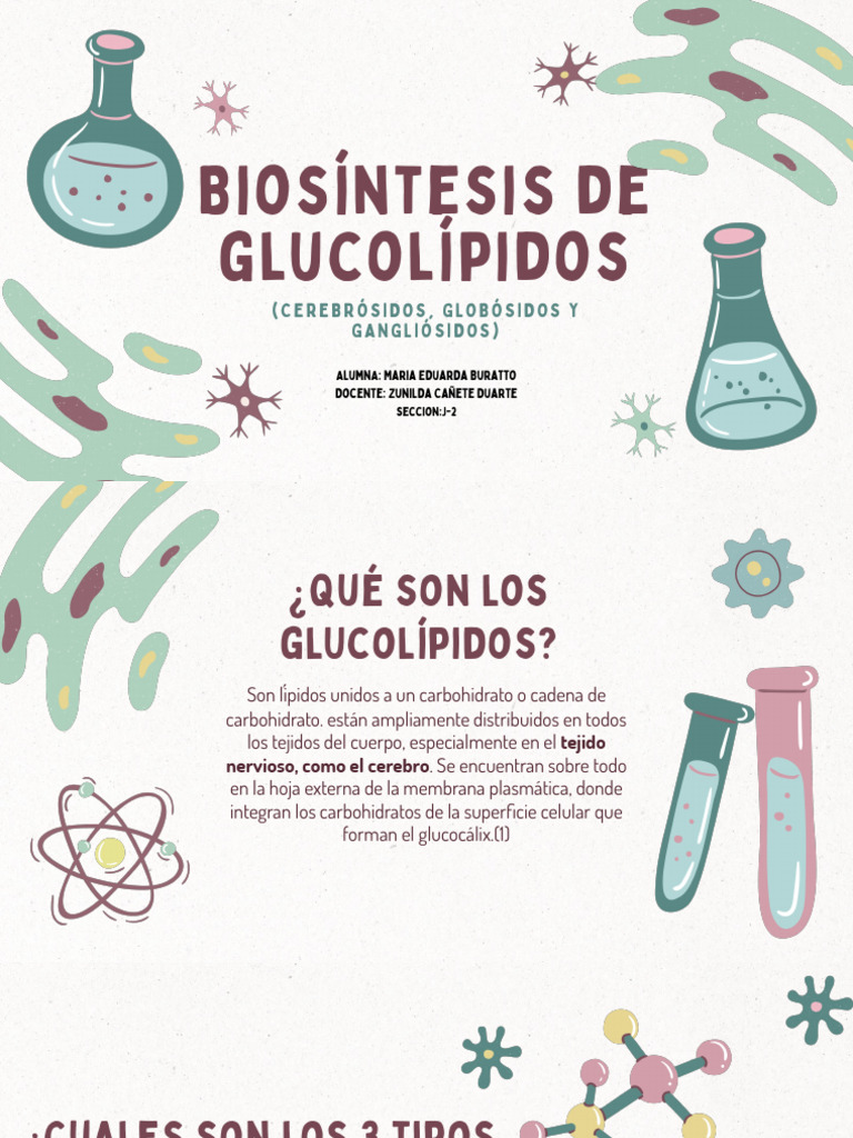 Biosíntesis de glucolípidos-2 | PDF | Retículo endoplásmico | Bioquímica