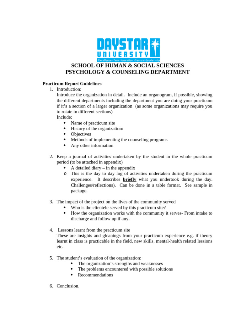 Practicum Report Guidelines Explained | PDF