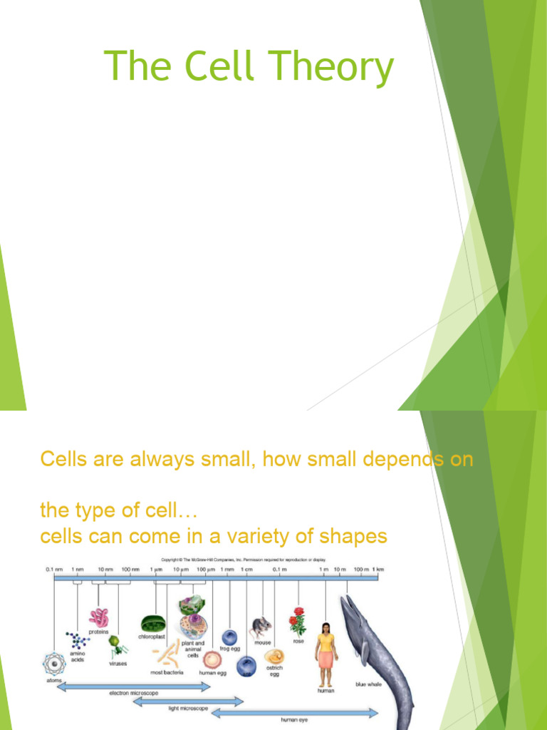1 The Cell Theory | PDF