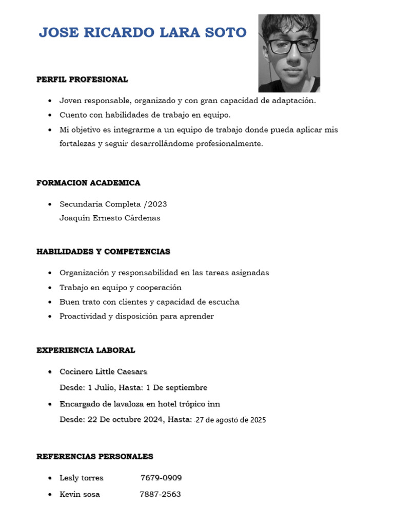 Cv Ricardo Lara. | PDF