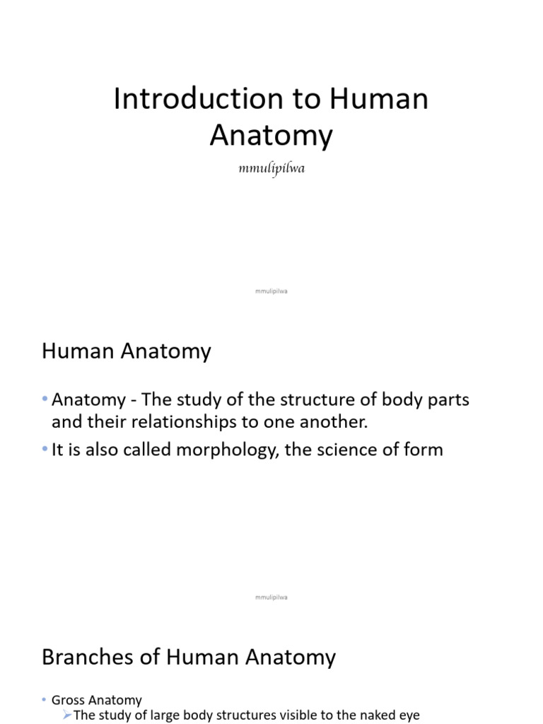 Introduction To Human Anatomy | PDF | Anatomical Terms Of Motion ...