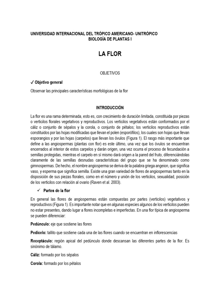 Guia Flor y Fruto | PDF | Flores | Ramas de la botánica