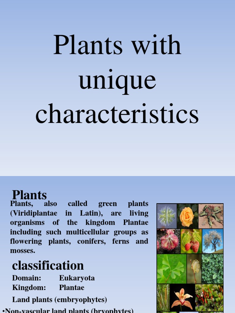 Plants With Unique Characteristics | PDF | Plants | Flowers