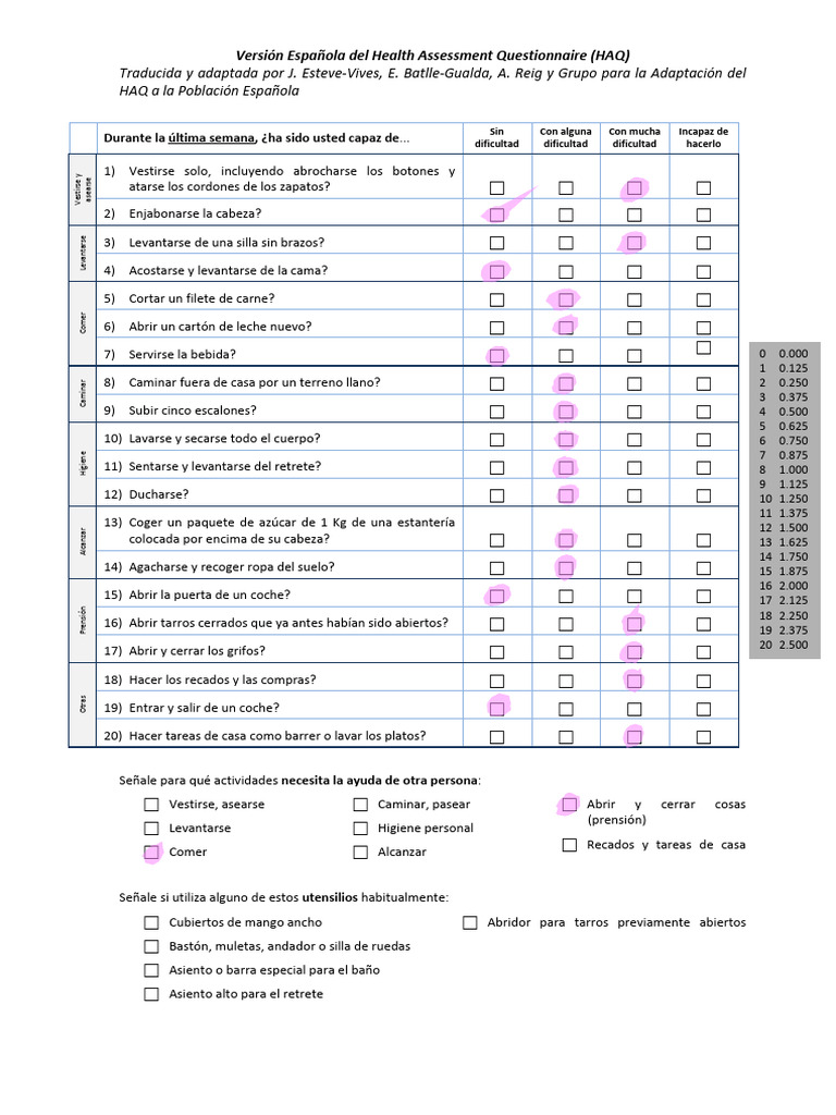 Haq Ser Spanish Questionnaire | PDF